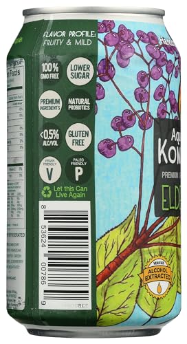 fermented elderberry probiotic drink