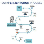 Fermented fish oil for wellness