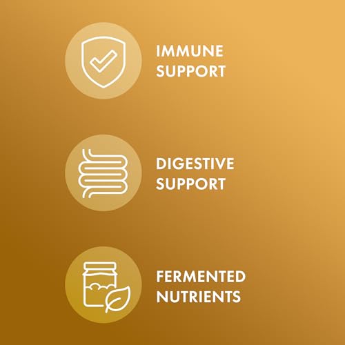 fermented ginger for digestive comfort