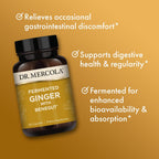fermented ginger for gut health