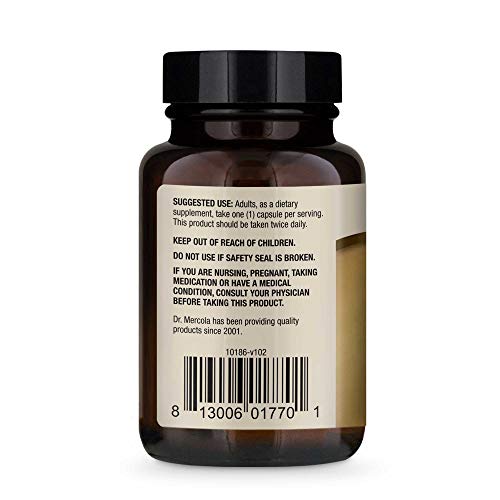 fermented ginger for gut wellness