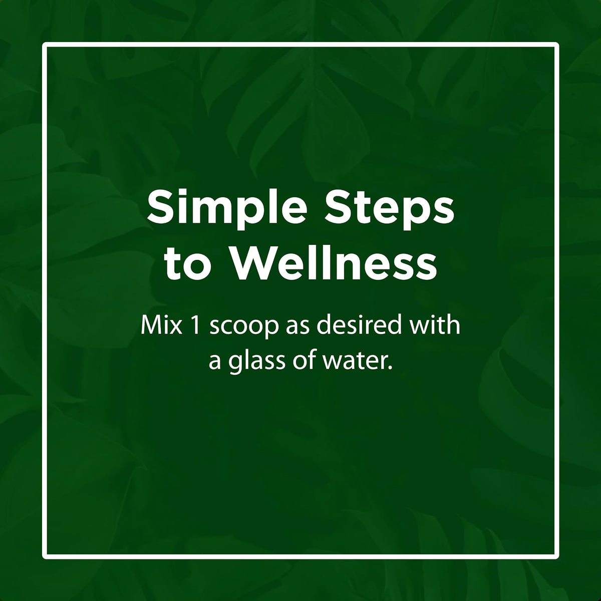 fermented grasses for digestive support