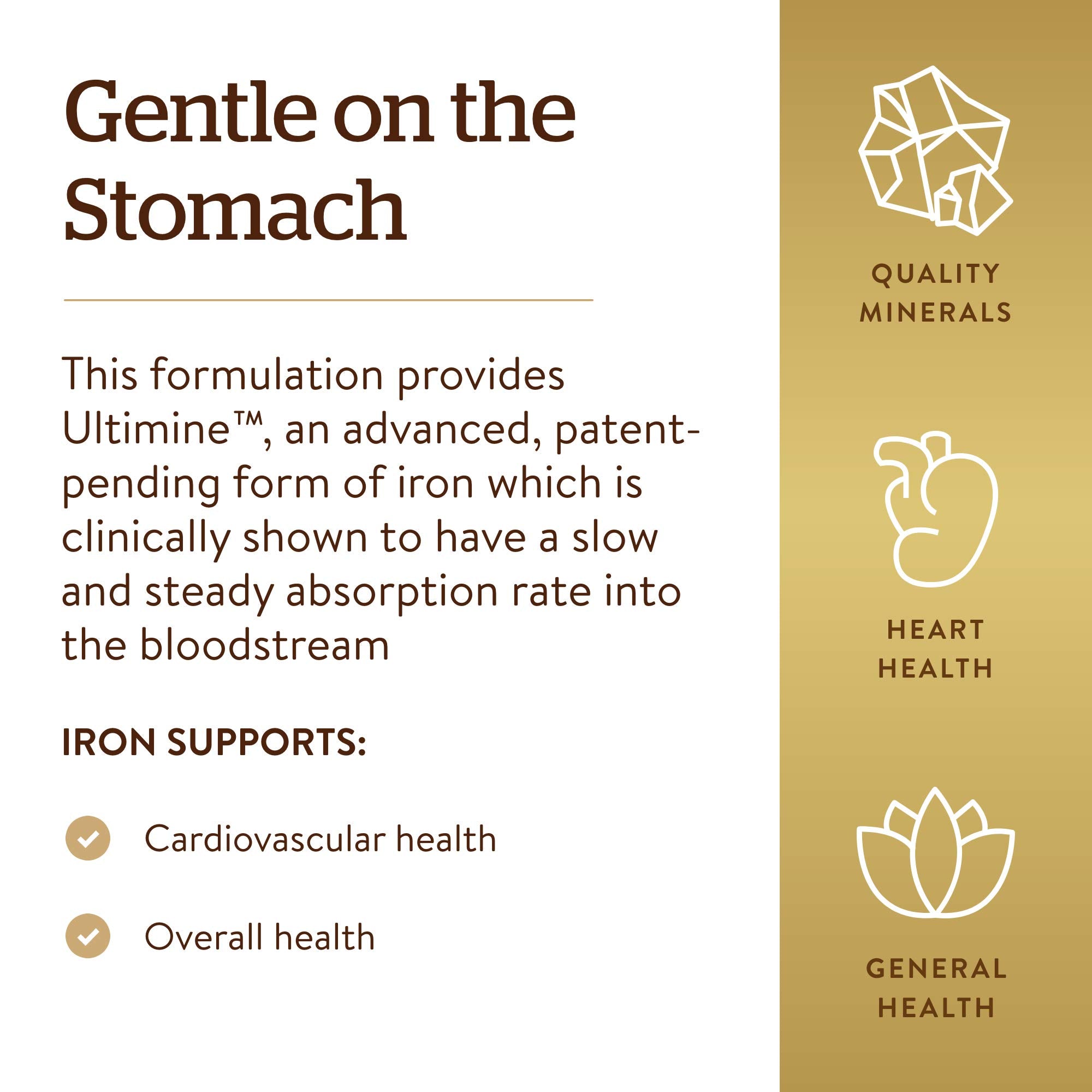 fermented koji iron for better absorption
