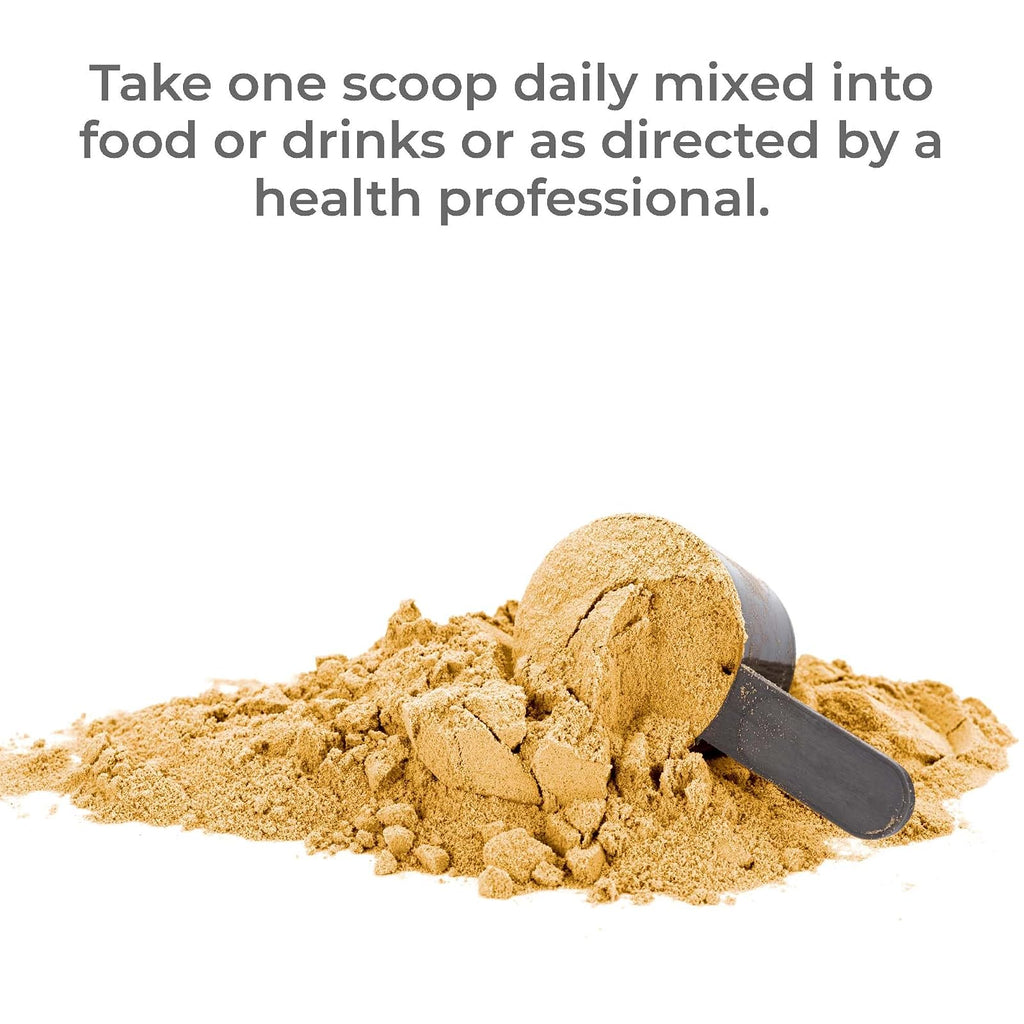 fermented mushroom blend for digestive health