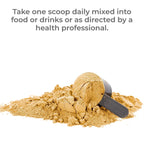 fermented mushroom blend for digestive health