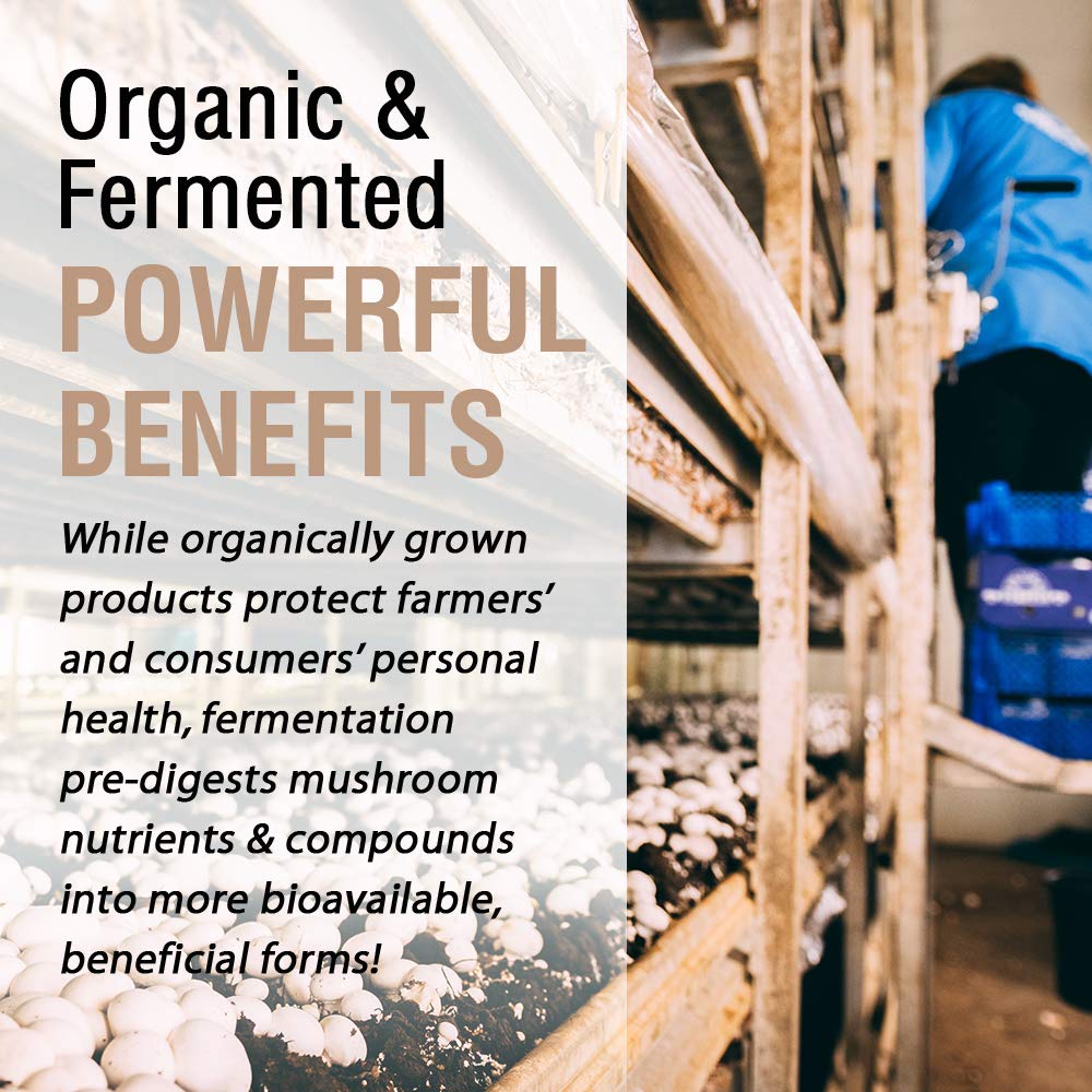 fermented mushrooms for digestive health