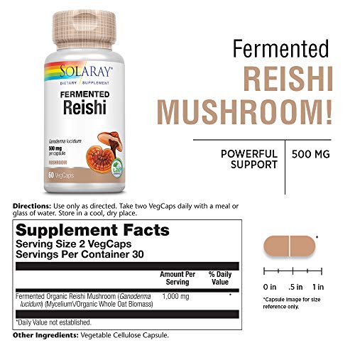 Fermented mushrooms for enhanced vitality