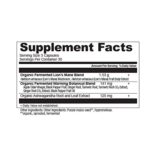 Fermented mushrooms for gut health