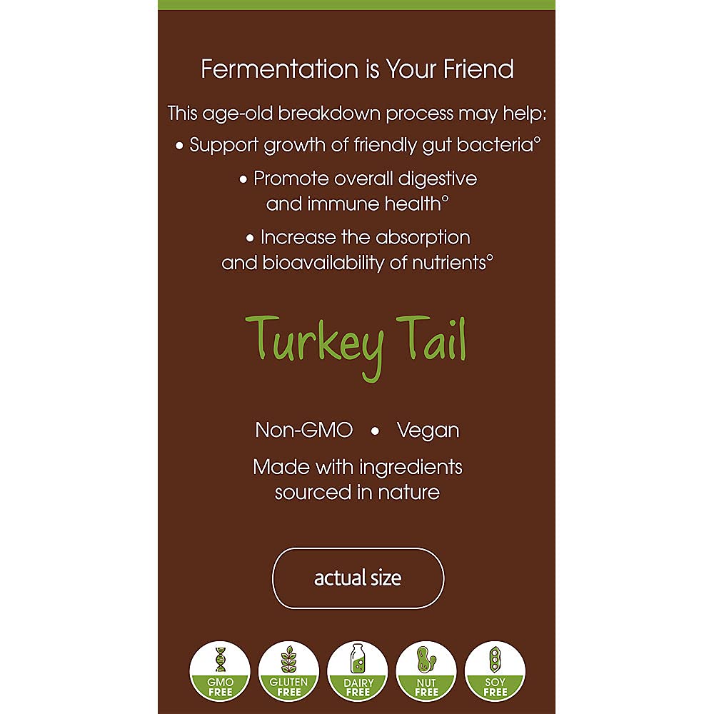 Fermented mushrooms for gut health
