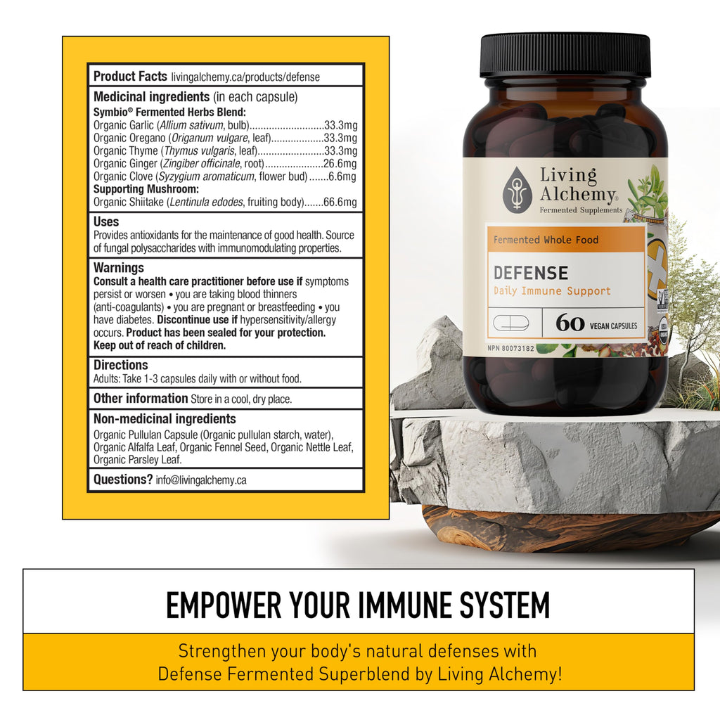 fermented mushrooms for wellness