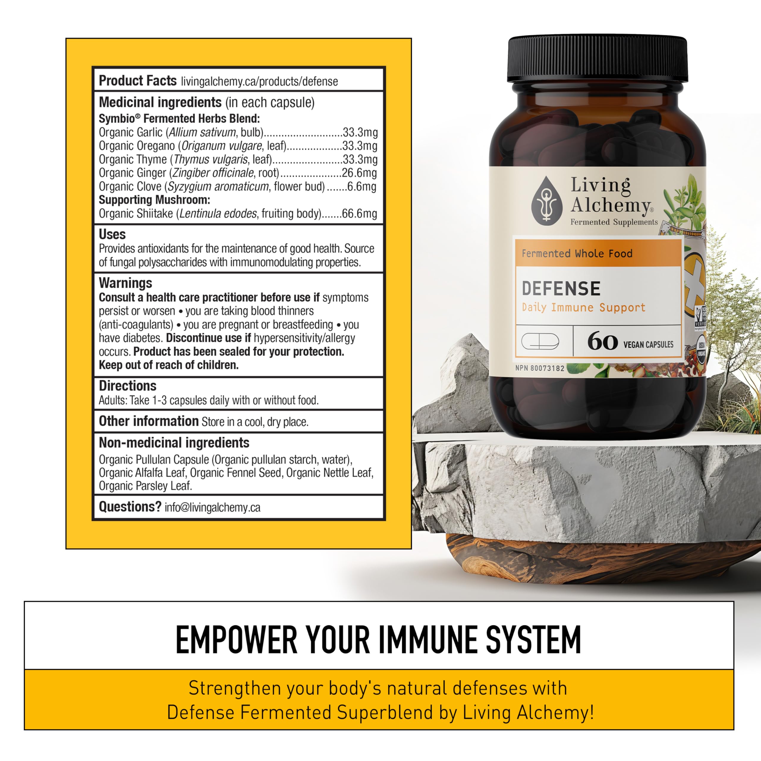 fermented mushrooms for wellness
