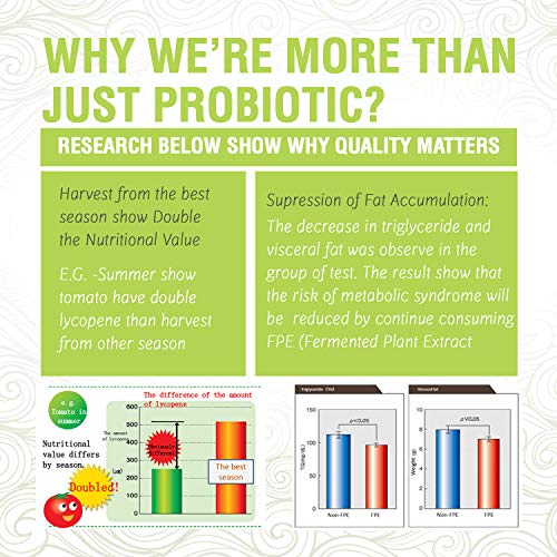 fermented probiotics for digestive wellness