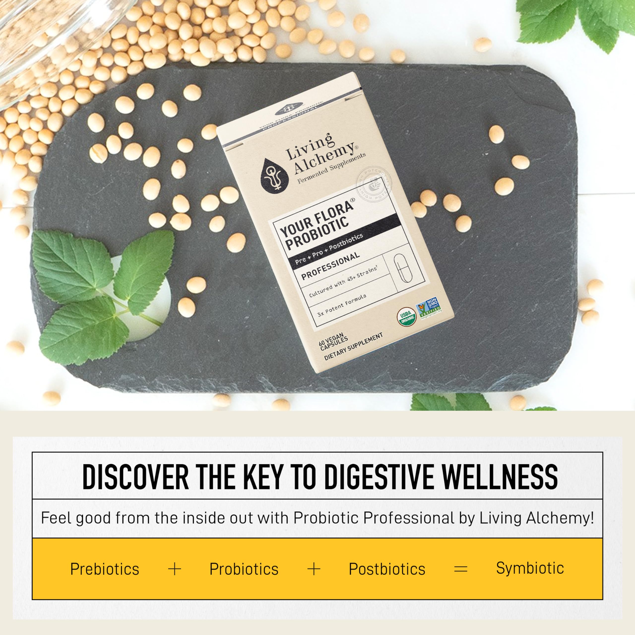 Fermented soybean for digestive support