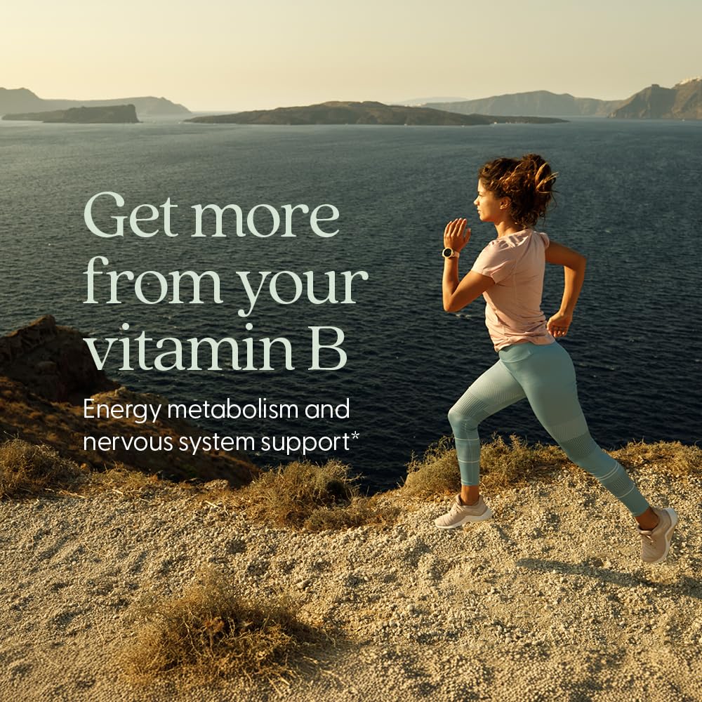 fermented vitamin b complex benefits