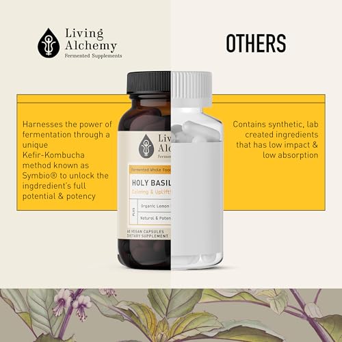 Fermented vitamins for better absorption