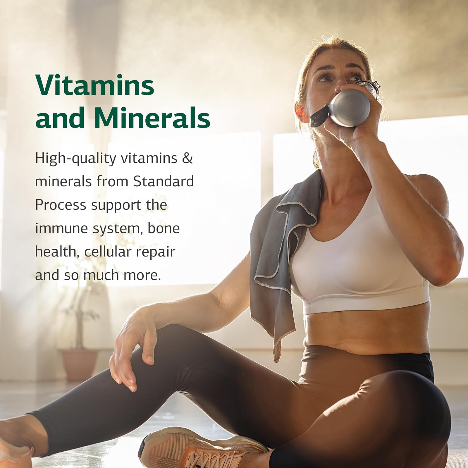 Ferrofood capsules for daily iron intake