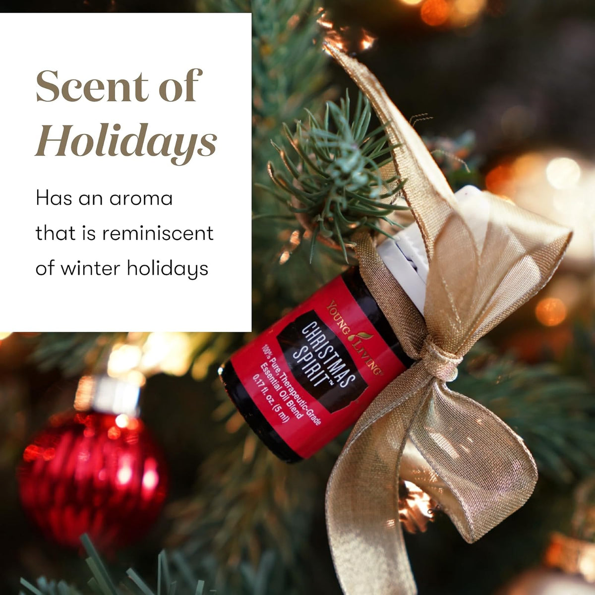festive essential oil blend for joy