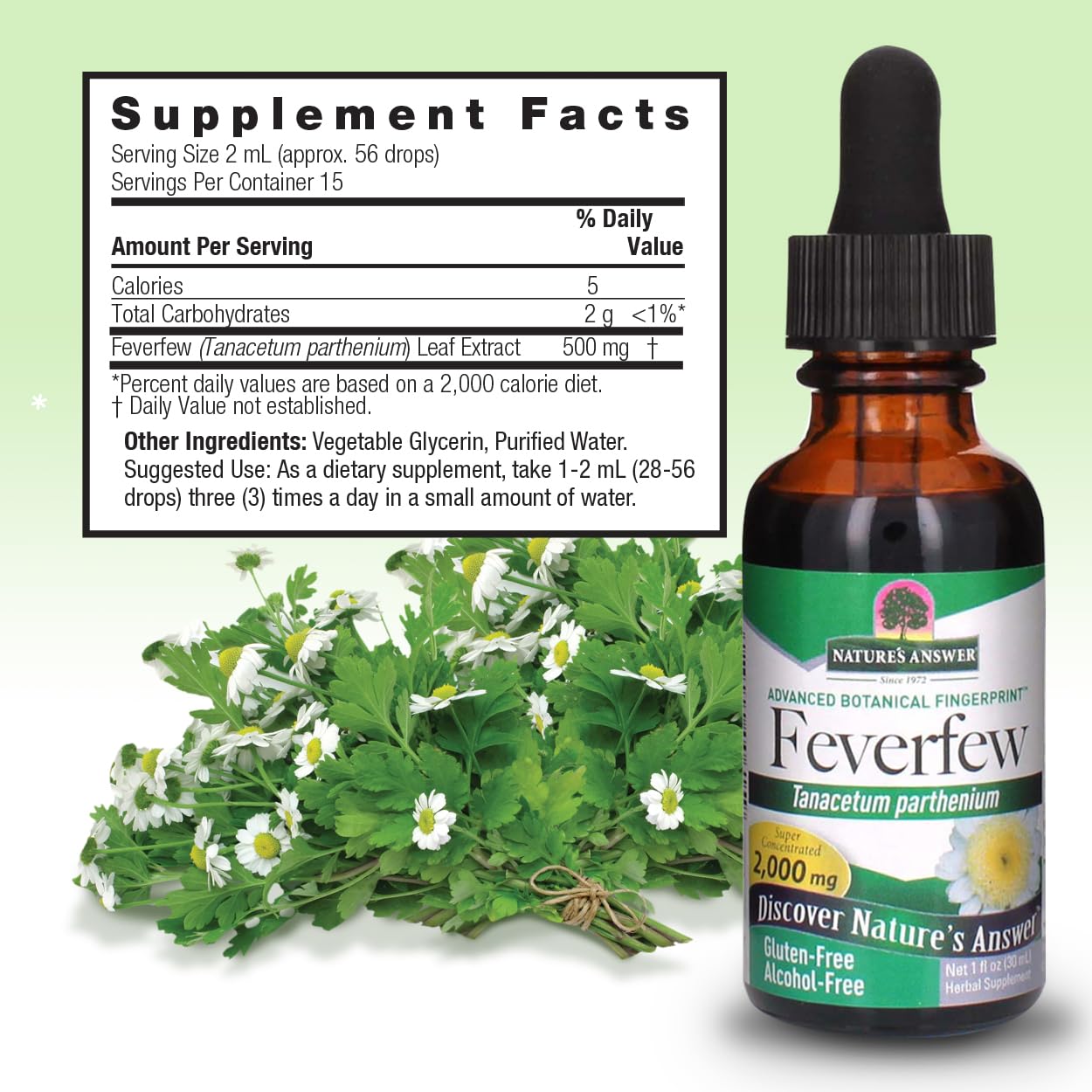 Feverfew extract for health support