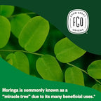 FGO moringa tea for detox