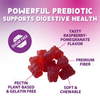 fiber gummies for healthy digestive support