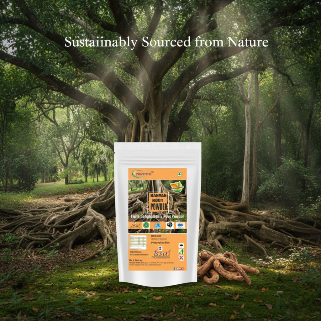 Ficus benghalensis powder for overall health