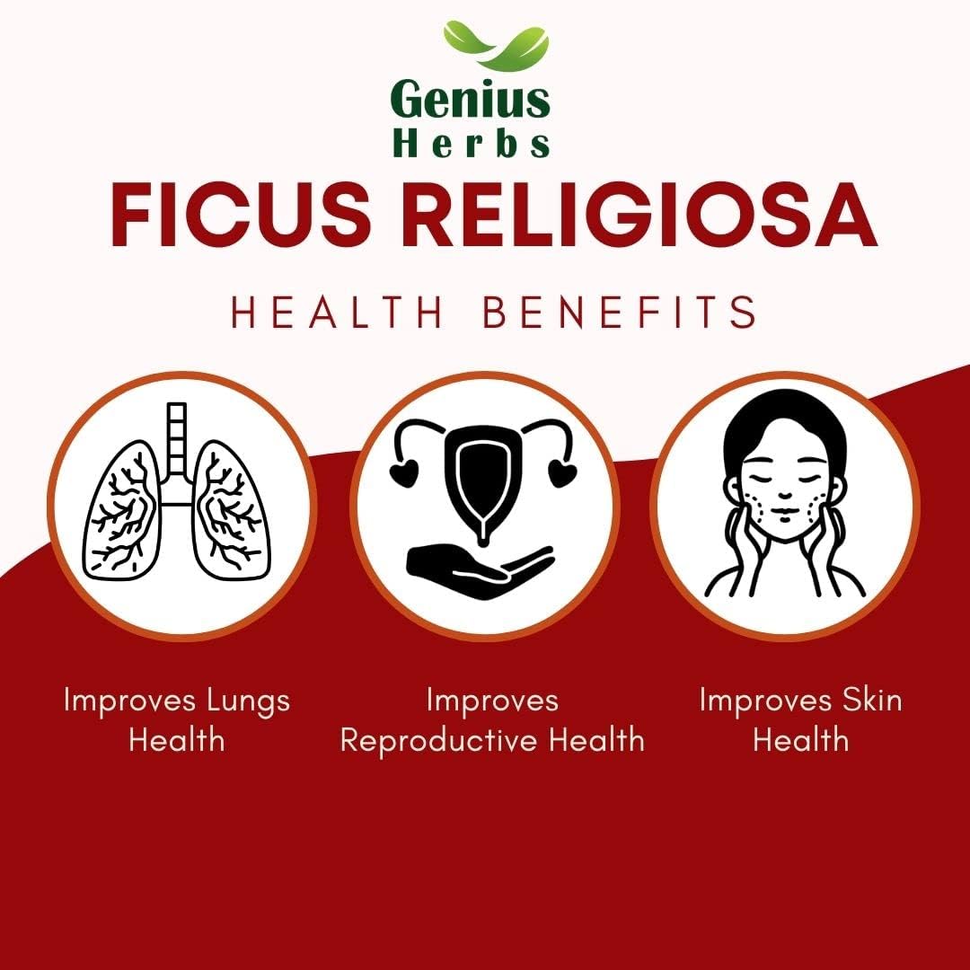Ficus leaf powder for immunity