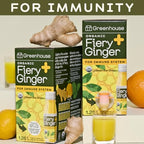 fiery ginger turmeric wellness drink