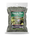 Fig leaves herbal tea benefits