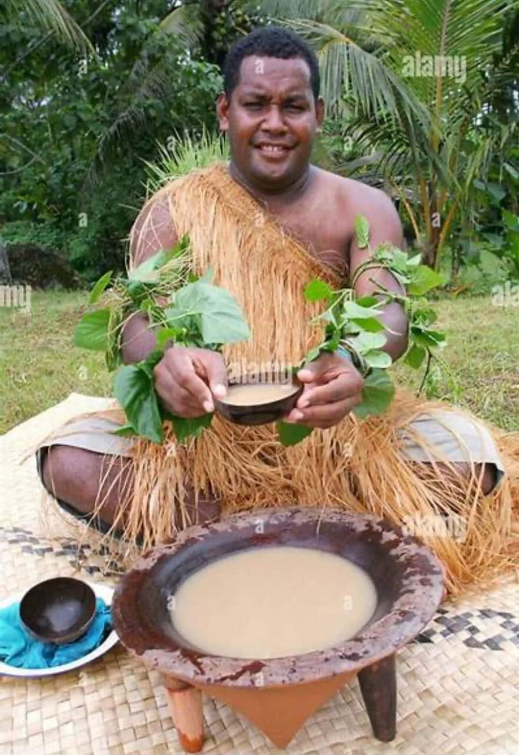 Fiji kava kava root powder