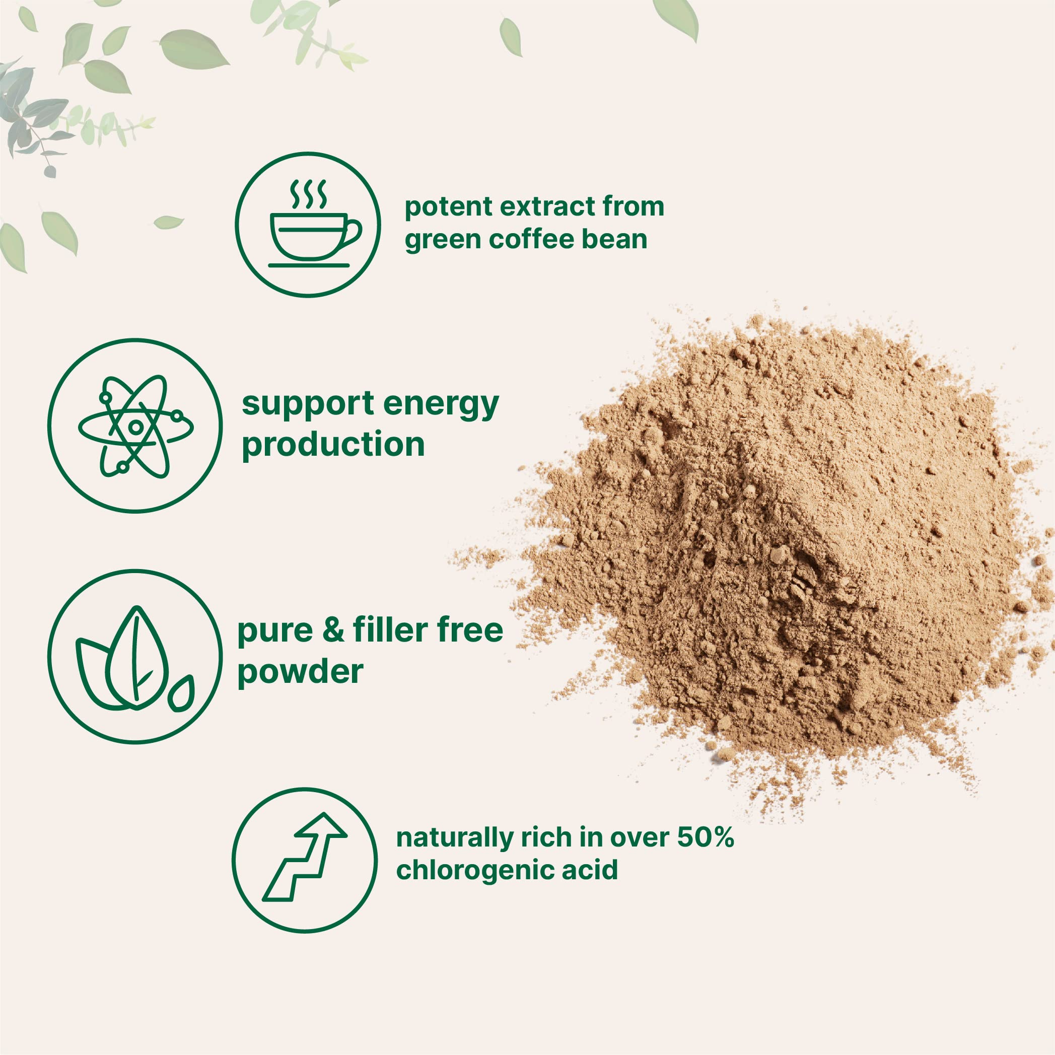 filler free green coffee bean extract
