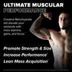 FINAFLEX creatine for faster recovery