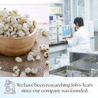 FINE JAPAN multivitamins for vitality