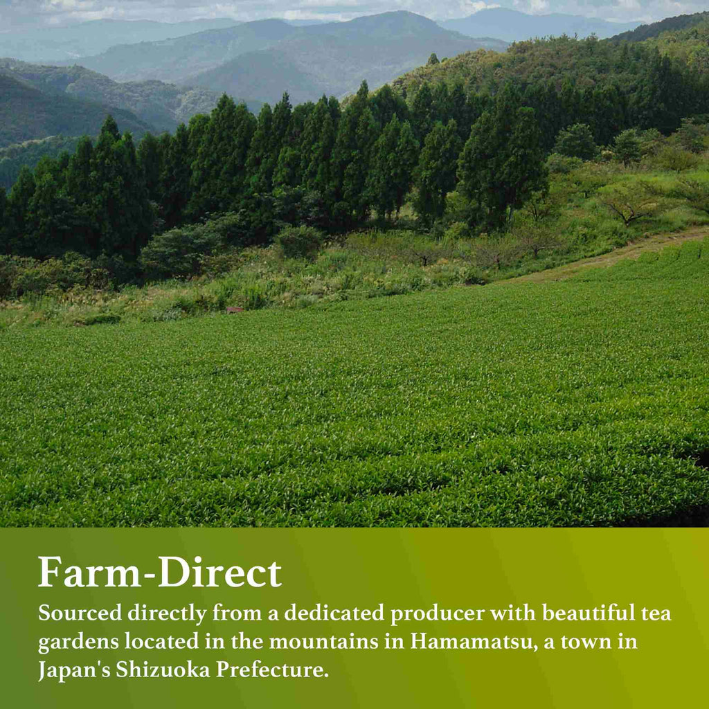 first harvest Fukamushi green tea