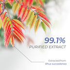 Fisetin capsules for healthy aging