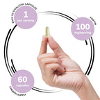 Fisetin capsules for kids health