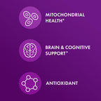 Fisetin & Spermidine for healthy aging