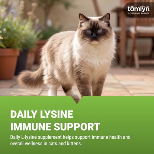 Fish flavored L-Lysine supplement