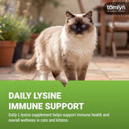 Fish flavored L-Lysine supplement