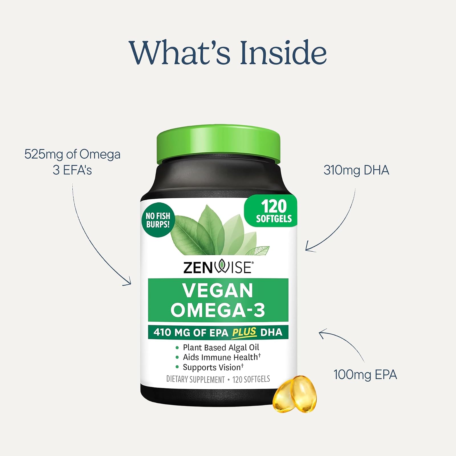 fish oil alternative algae capsules
