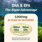 fish oil alternative for kids