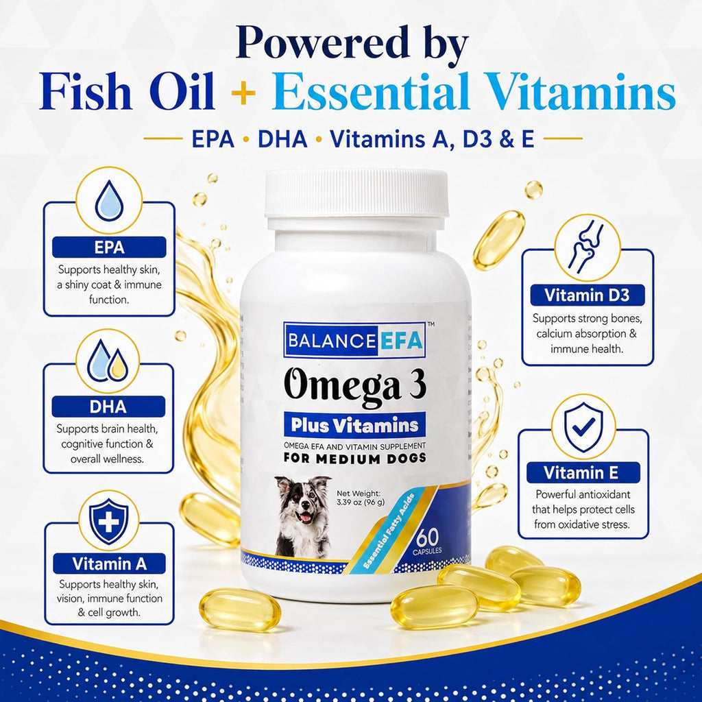 fish oil benefits for pets