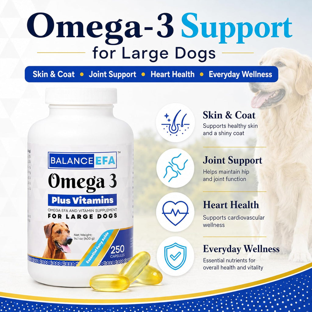 Fish oil chews for healthy joints