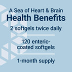 fish oil for brain function