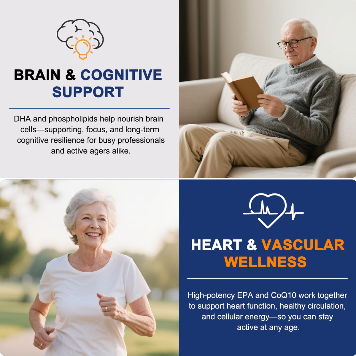 fish oil for brain function