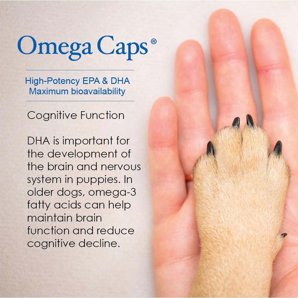 fish oil for healthy skin and coat