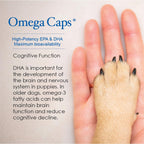 fish oil for healthy skin and coat