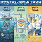 fish oil for immune support
