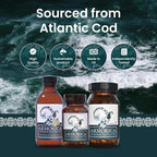 fish oil for immune support