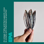 fish oil for joint support