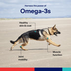 Fish oil for joint support